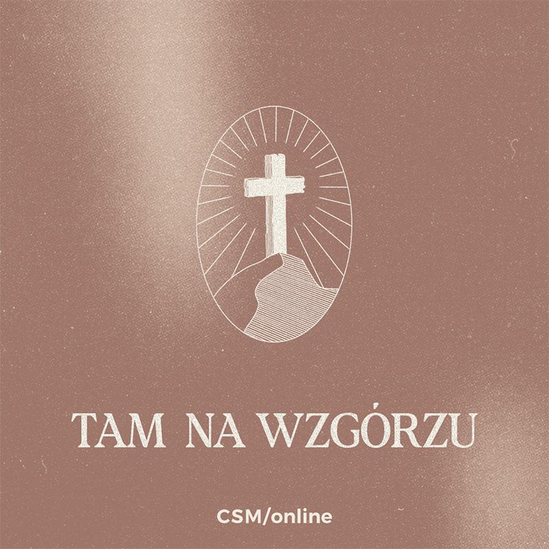 Tutoriale | CSM/online